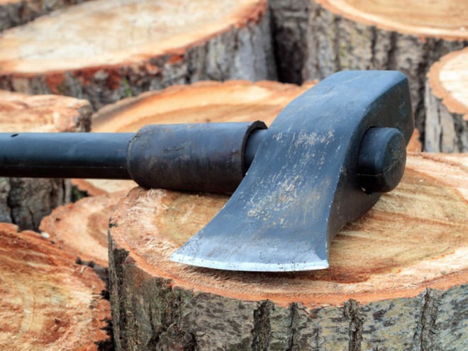 The 9 Best Splitting Mauls (And Where To Buy Them) - Timber Gadgets