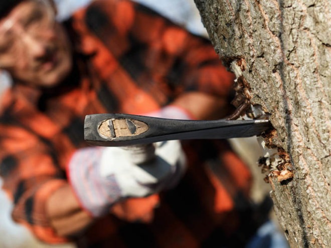 The 9 Best Felling Axes (And Where To Buy Them) - Timber Gadgets