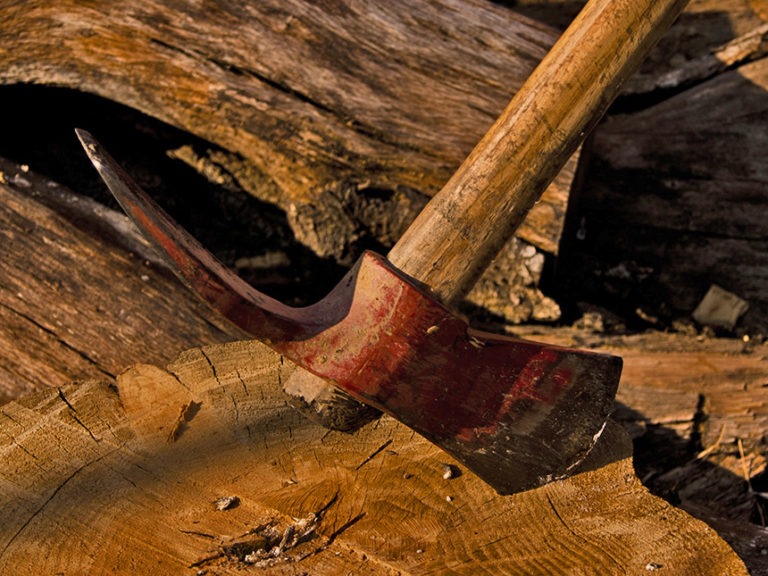 What Is A Pulaski Axe? - Timber Gadgets