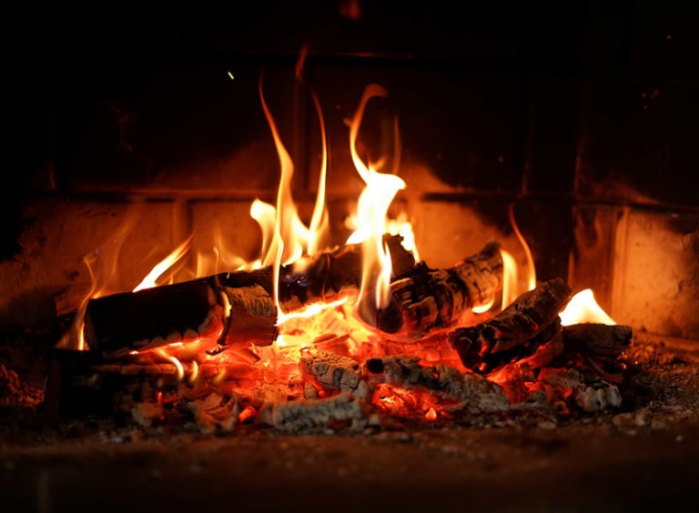 Walnut Firewood: A Complete Guide - Timber Gadgets